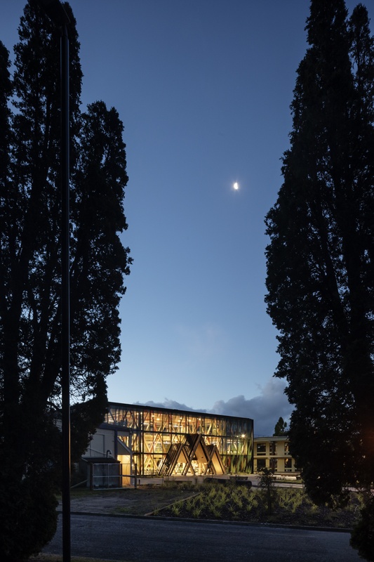 The technology of the trees | Architecture Now