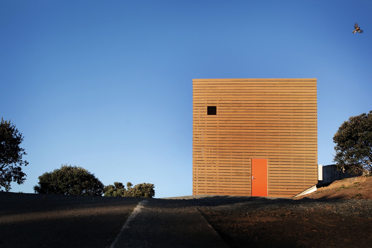 A tribute to Pip Cheshire: Andrew Barrie | Architecture Now