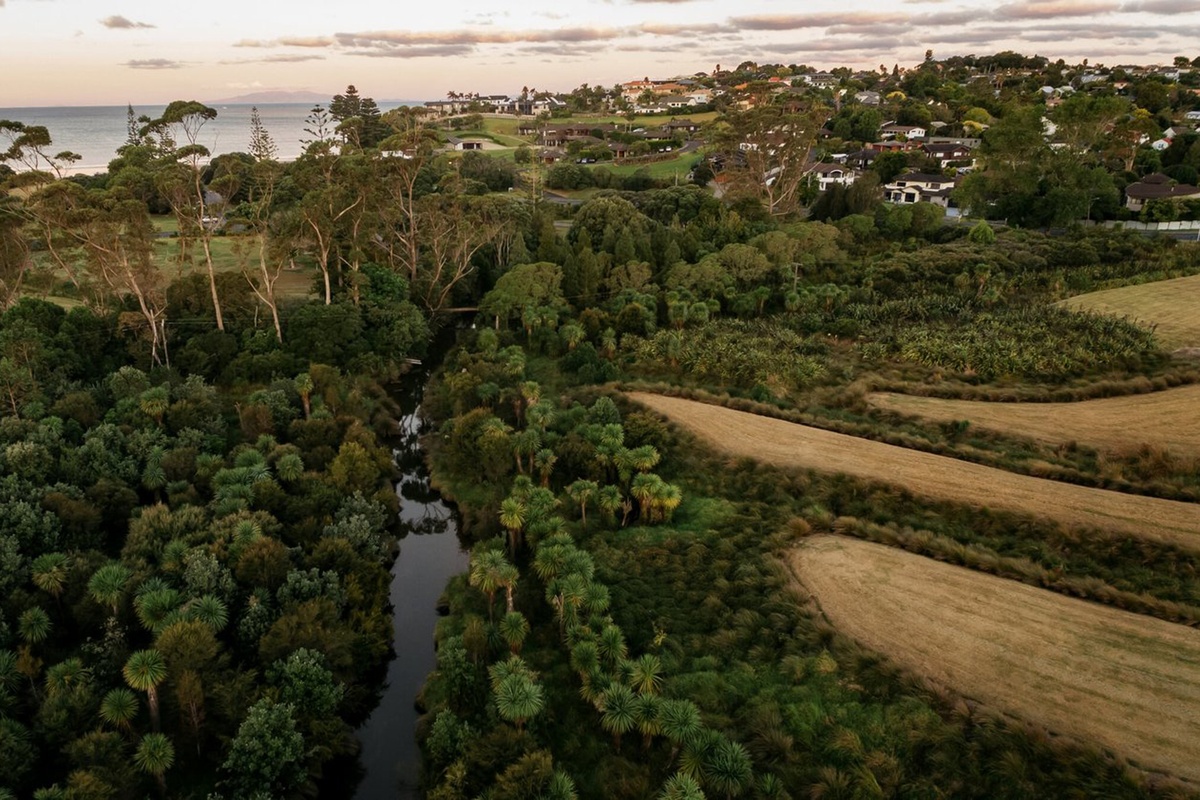 Integrated urban form: Long Bay development | Architecture Now