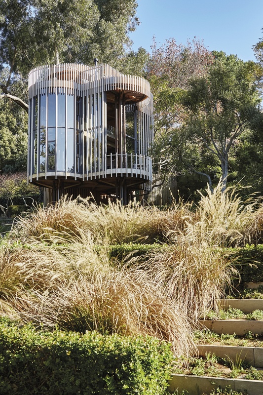 A subliminal link: Tree House | Architecture Now