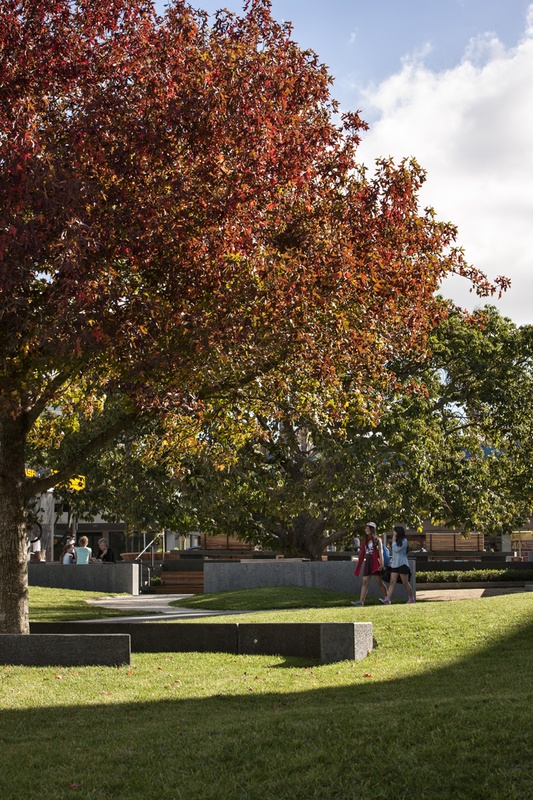 Hurstmere Green | Architecture Now