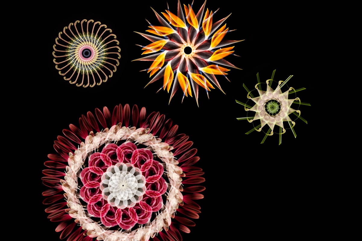 In bloom | Urbis Magazine