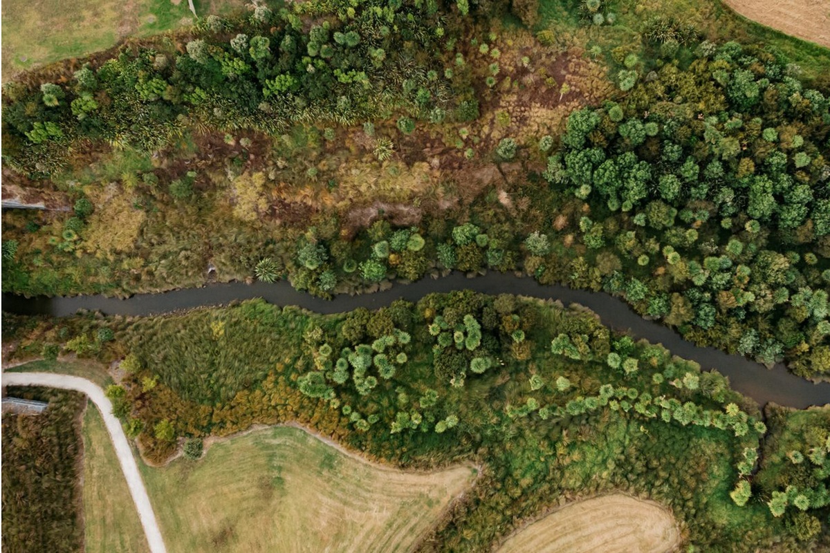 Integrated urban form: Long Bay development | Architecture Now