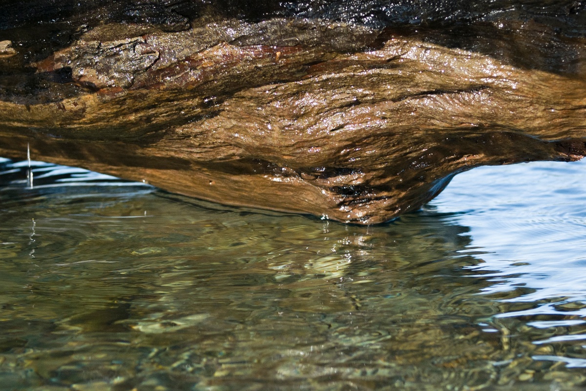 Behind the Object: The Milford Desk | Architecture Now