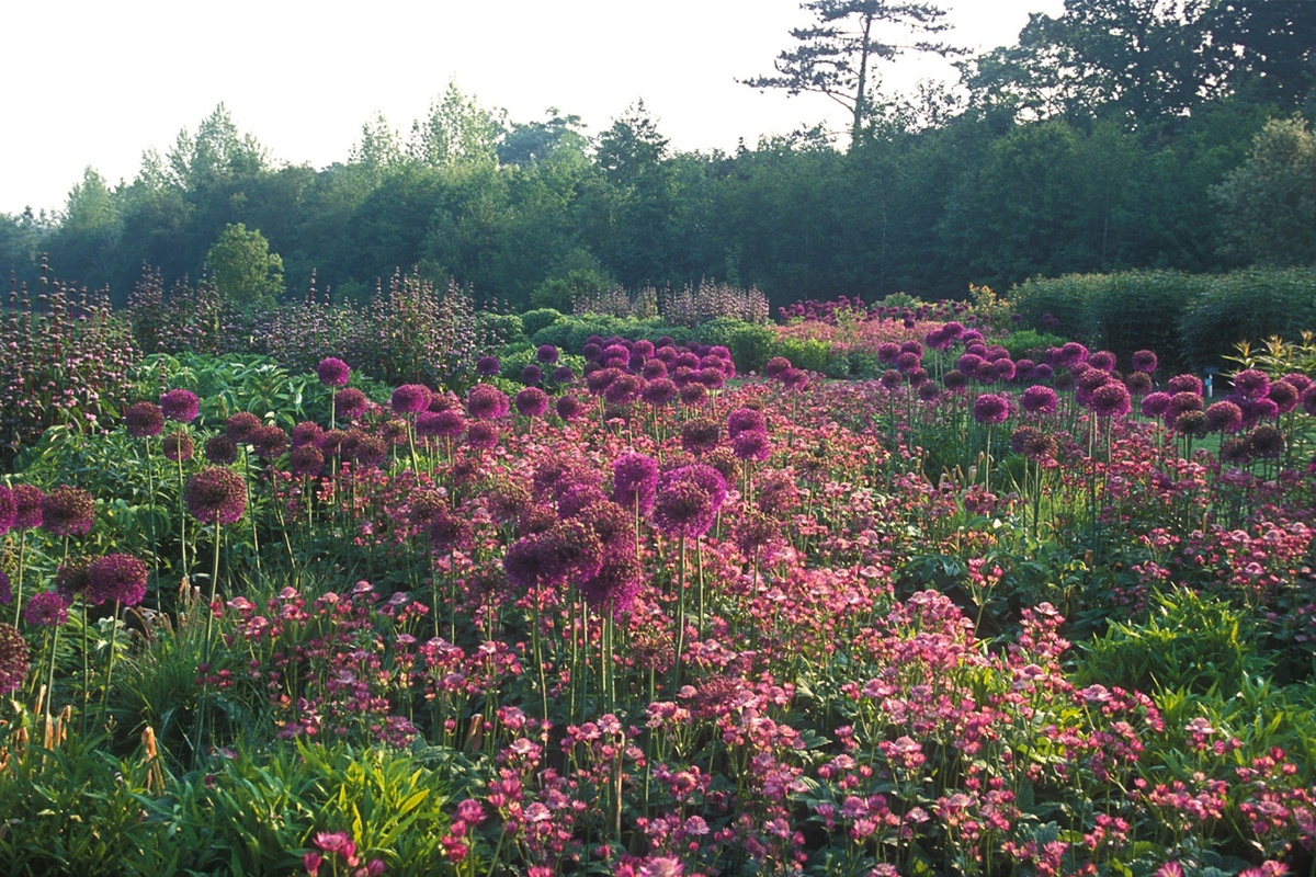 Piet Oudolf: Landscapes In Landscapes | Architecture Now