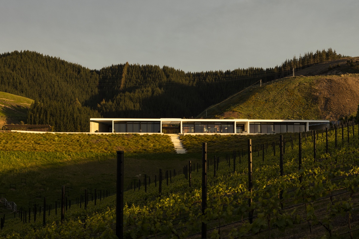 Keeping it simple: Tom Locke | Architecture Now