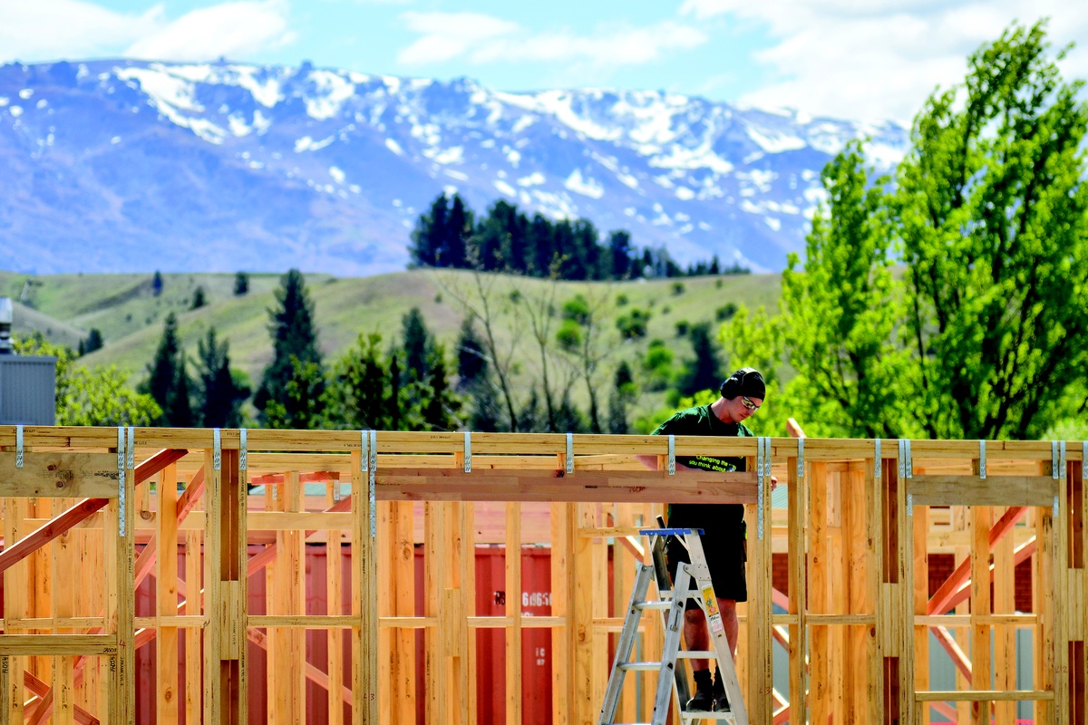 Premium wood solutions | Architecture Now