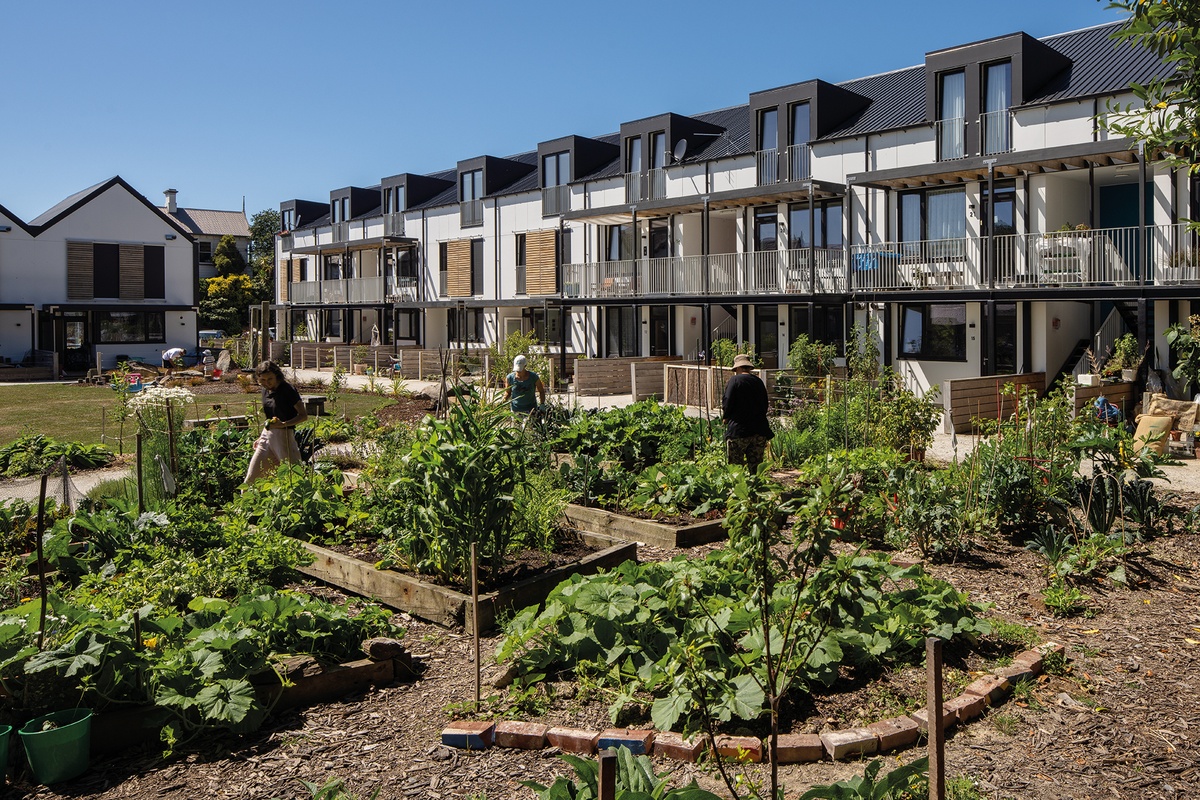 Green commons | Architecture Now